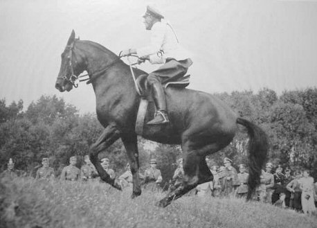 Schutzstaffel: The SS