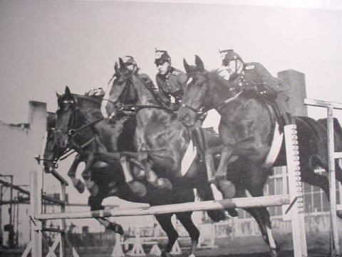 Schutzstaffel: The SS