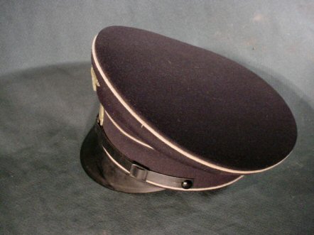 Schutzstaffel: The SS