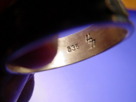 Schutzstaffel: The SS