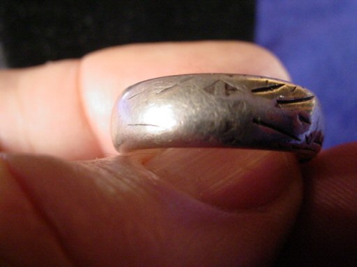 Schutzstaffel: The SS