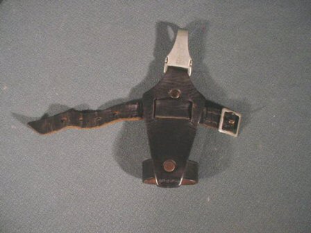 Schutzstaffel: The SS