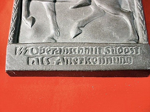 Schutzstaffel: The SS